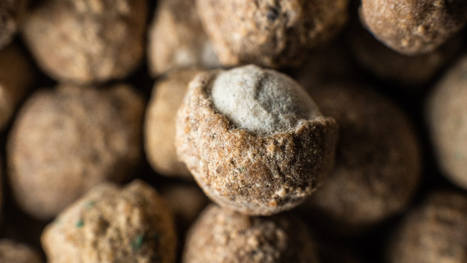 The role of macro mineral supplementation for transitioning cows ...